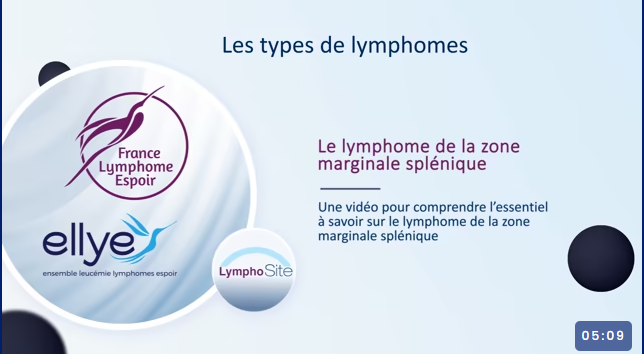 Zone marginale | Ellye